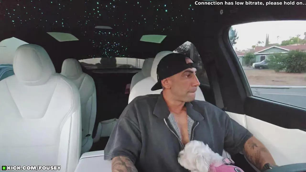 fousey - kick.com - Live Streaming Search Engine - LiveSearch.app